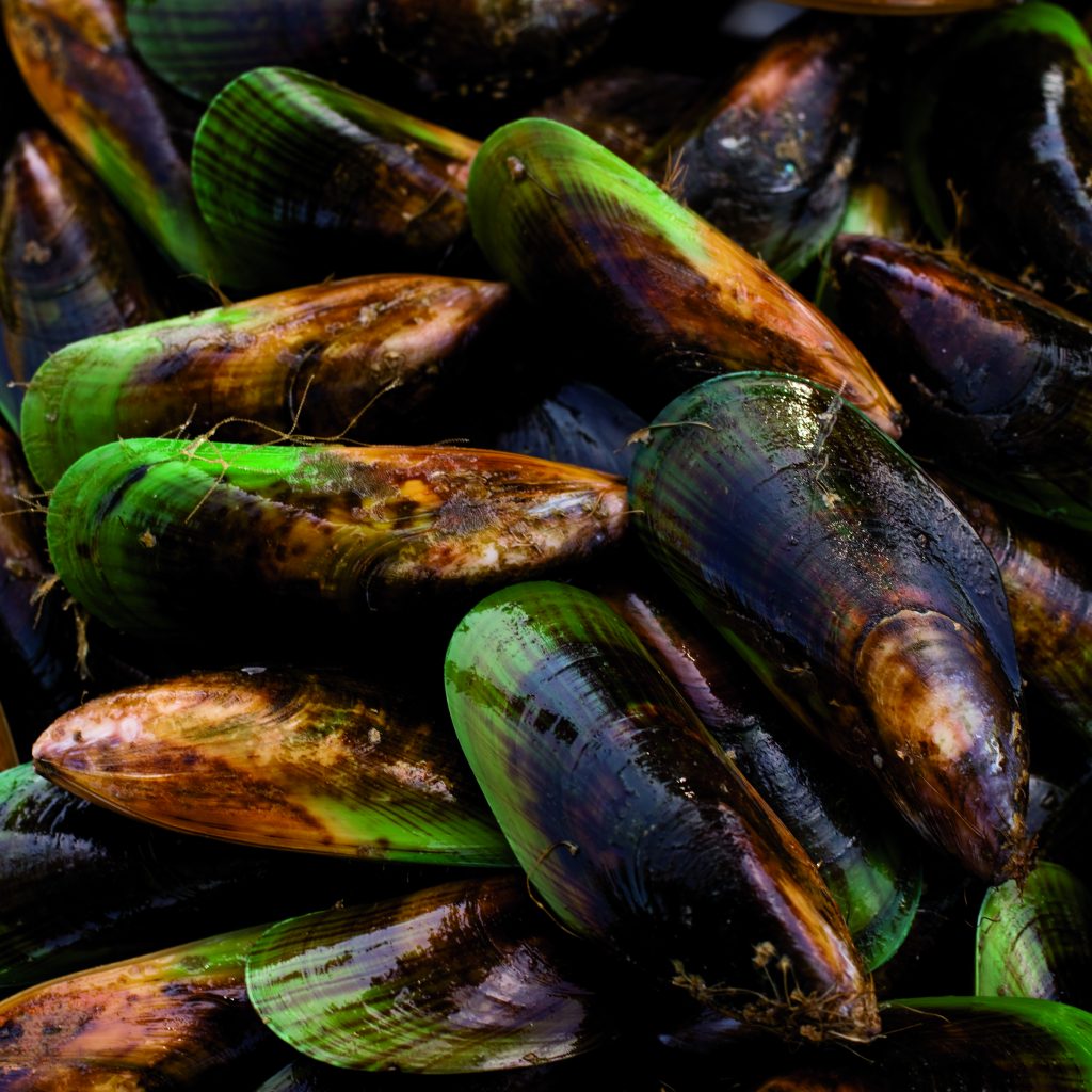 Ikana - Only New Zealand's Best Live & Fresh